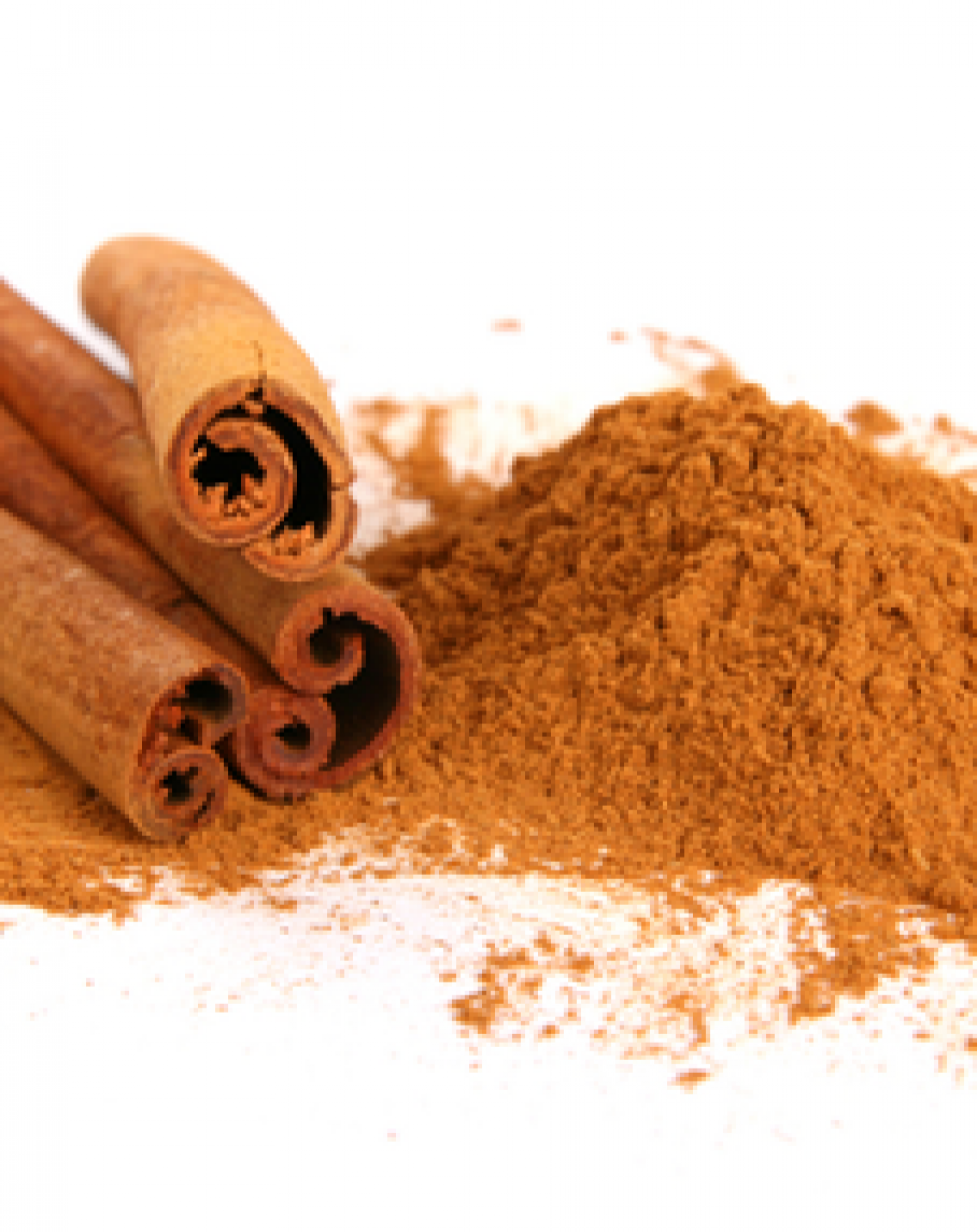 Cinnamon Powder supplier from Ahmedabad, India. Cinnamon Powder ...